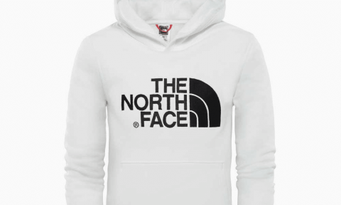 North Face Logo Design – History, Meaning and Evolution | Turbologo