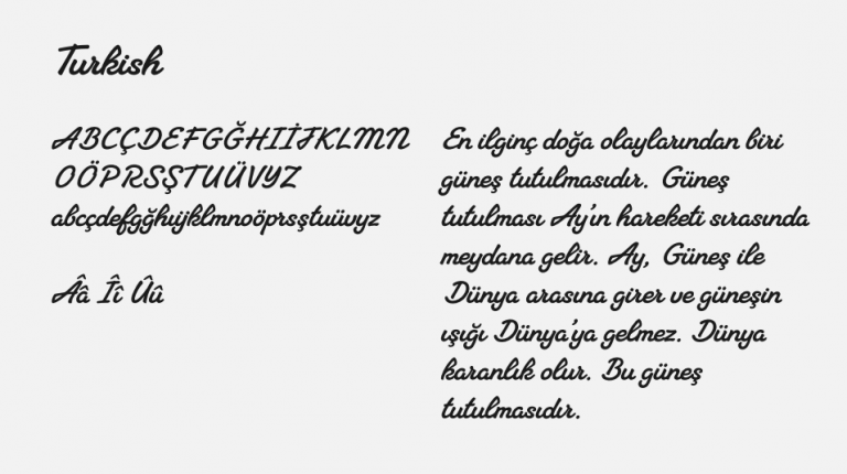 Florida Vibes: A Free Handwritten Font with the Sunshine State's Charm ...