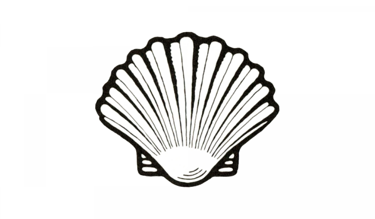 Shell Logo Changes: From Vintage to Modern Design